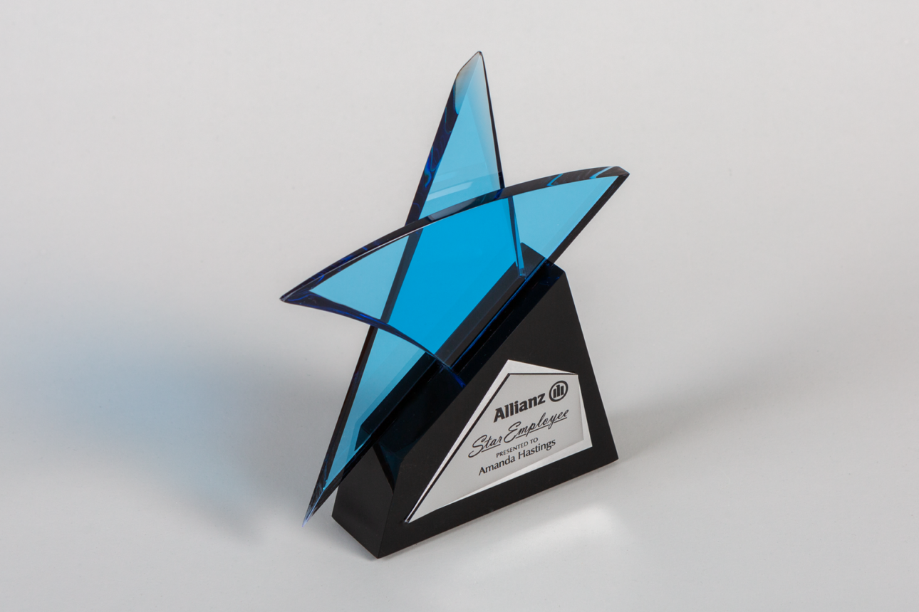 Reward a Guiding Star in your industry! Corporate Recogniton awards.